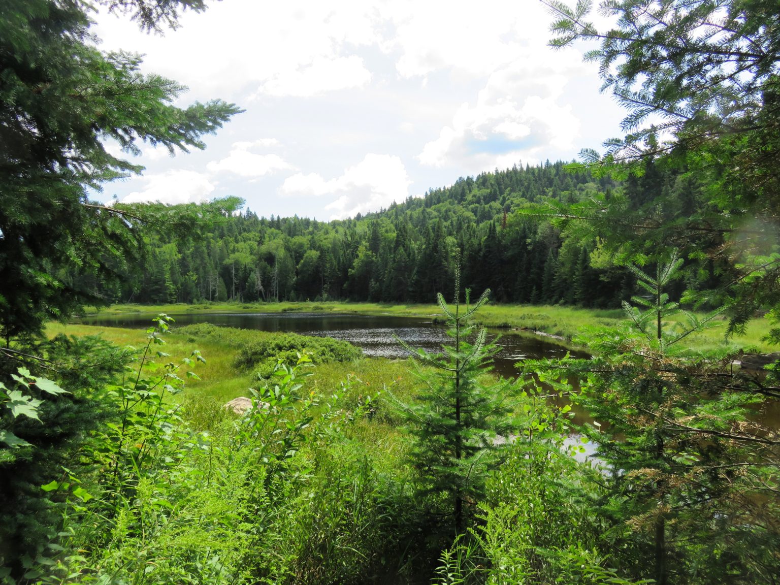 Québec guide : A day in la Mauricie National Park - Wanderlust Ale