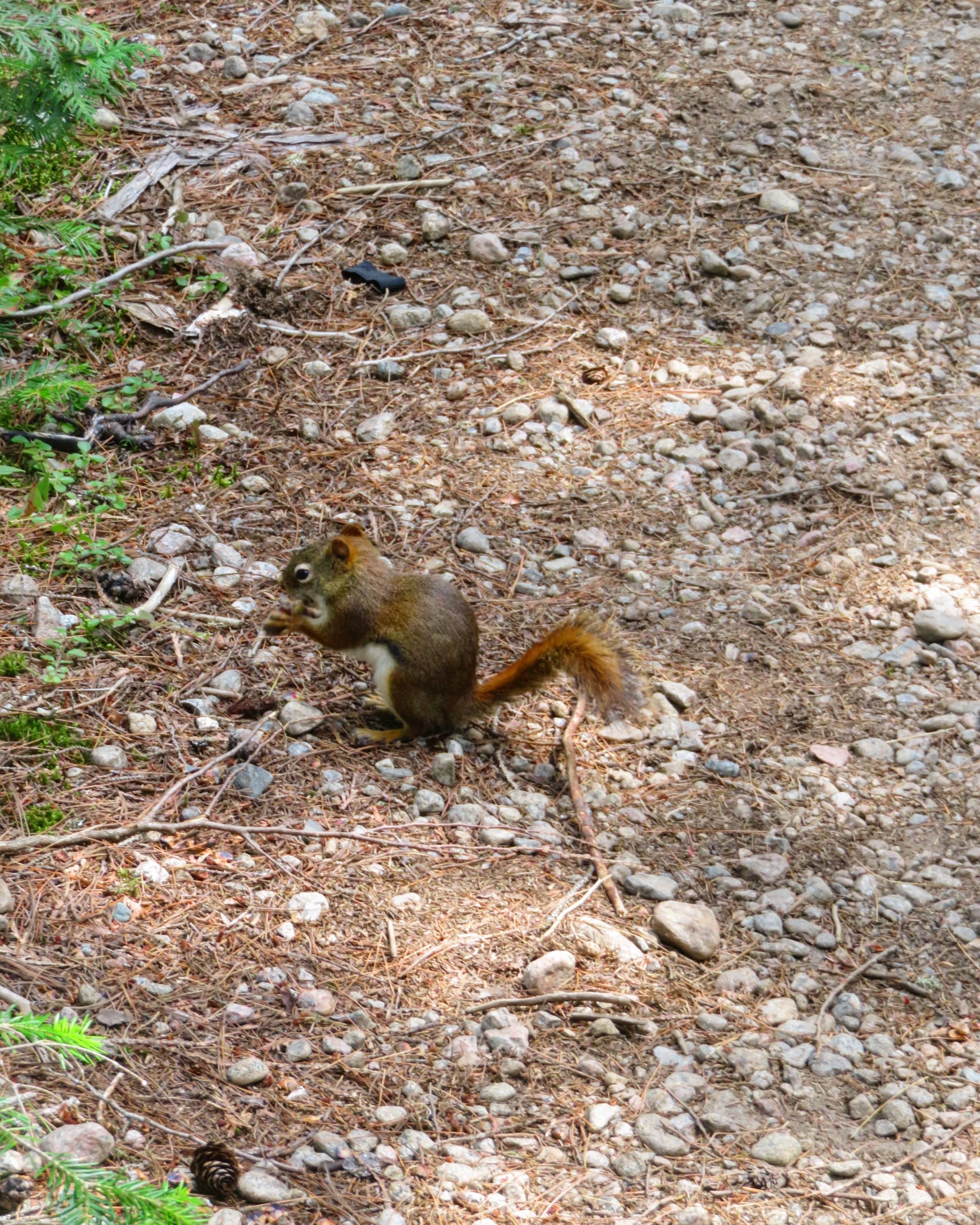 The ultimate guide to Québec's national parks - Wanderlust Ale