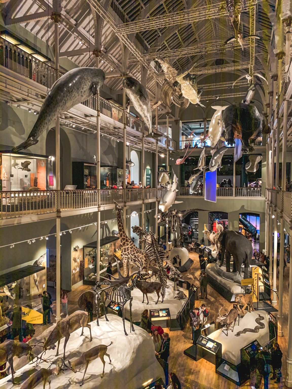 The complete guide to Edinburgh - Wanderlust Ale