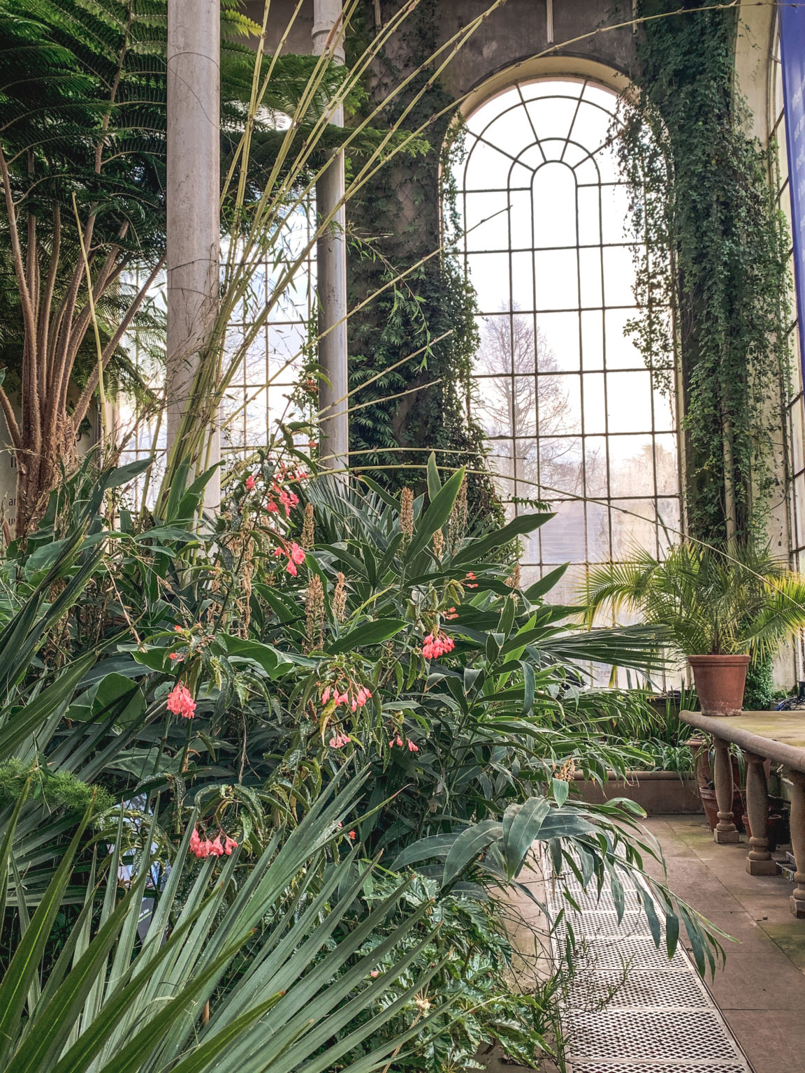 The complete guide to Edinburgh - Wanderlust Ale