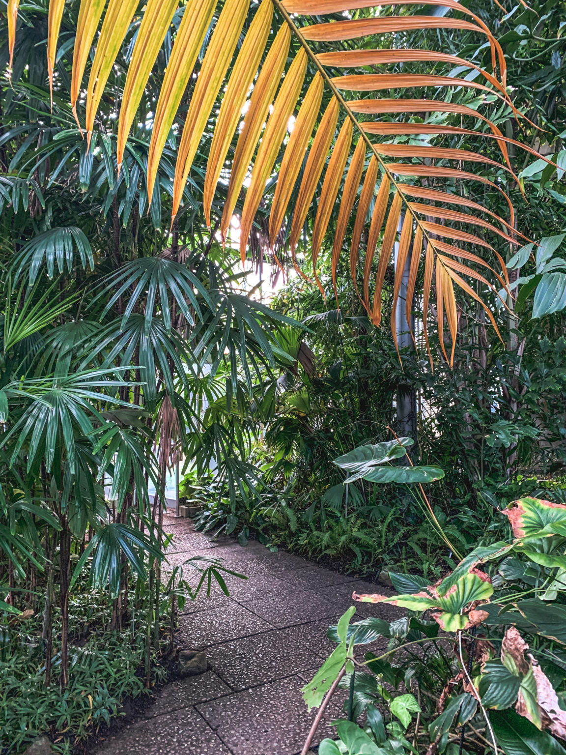 The complete guide to Edinburgh - Wanderlust Ale