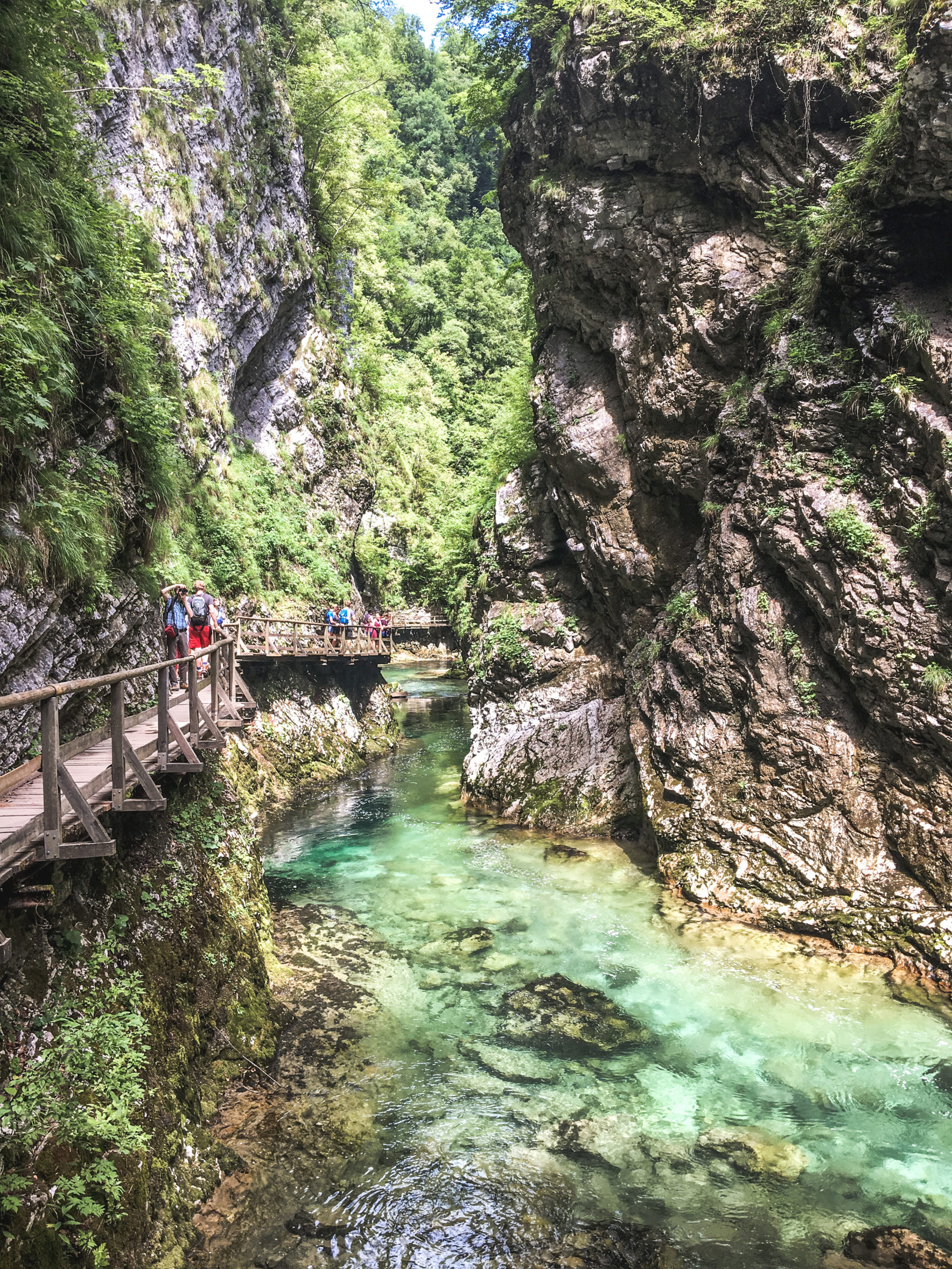 The Vintgar gorge, between limpidity and hordes of tourists ...