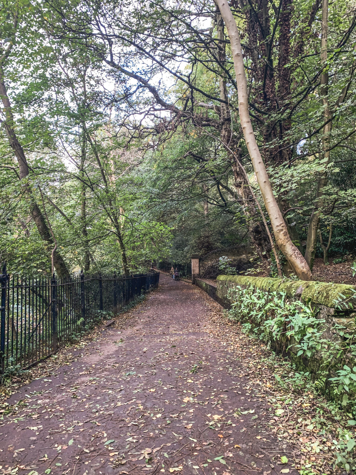 The complete guide to Edinburgh - Wanderlust Ale