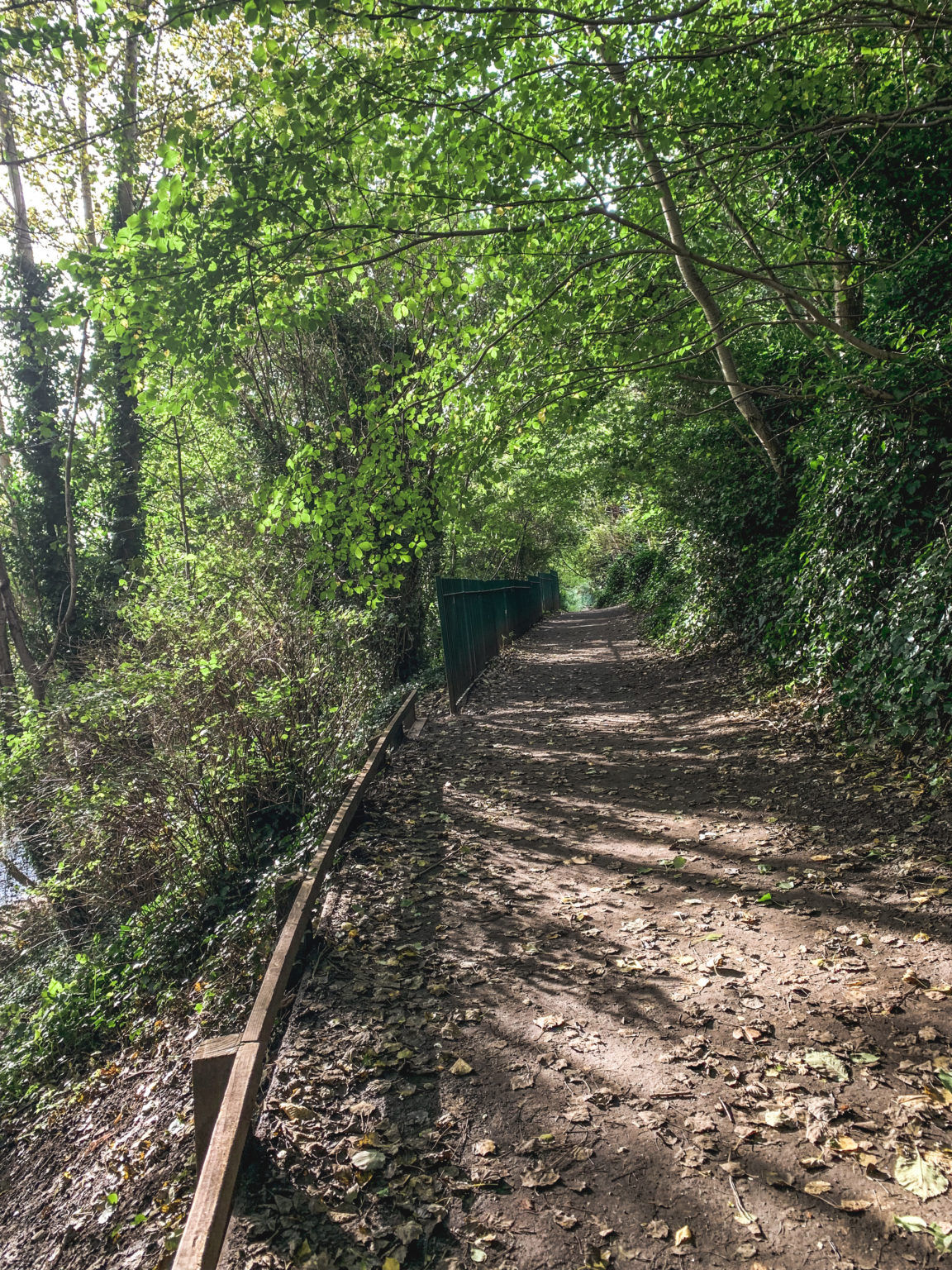 The complete guide to Edinburgh - Wanderlust Ale