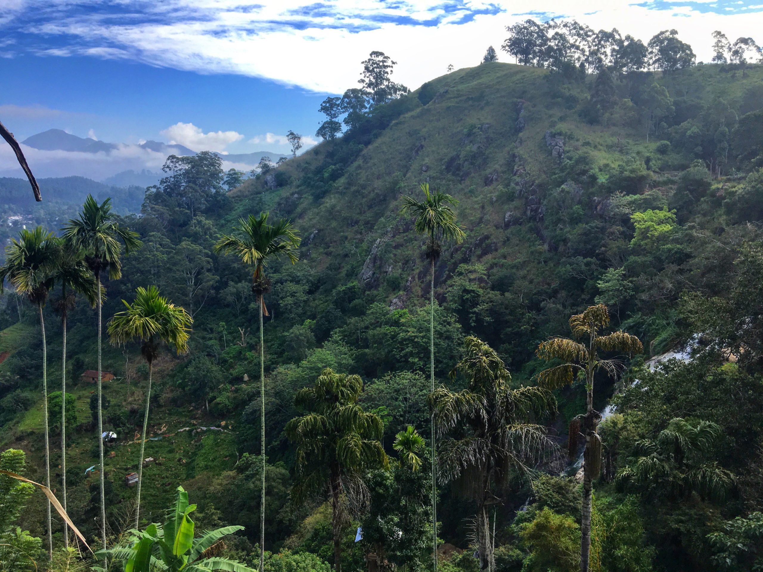 Ella, a haven of peace and greenery amid (many) tourists - Wanderlust Ale