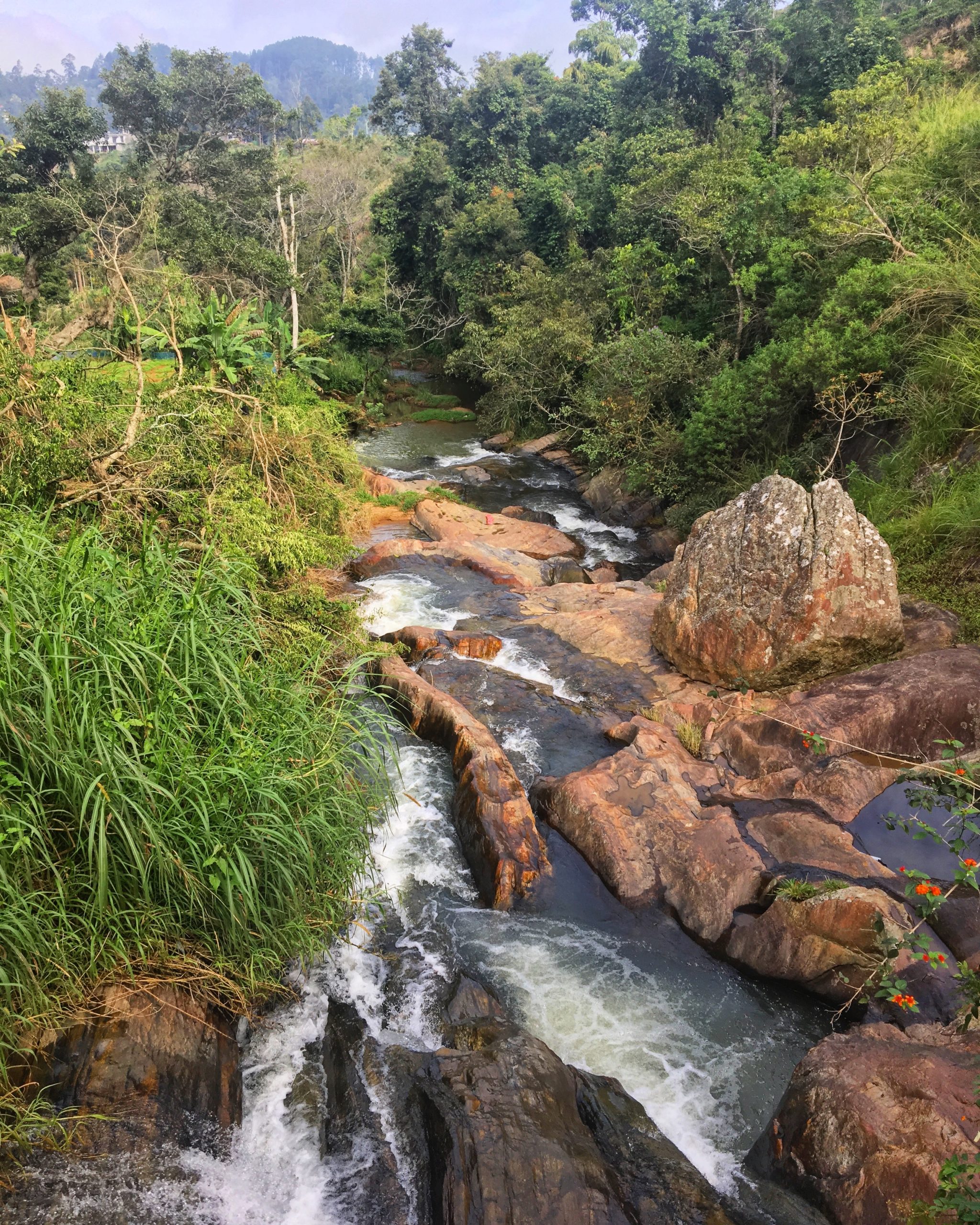 Ella, a haven of peace and greenery amid (many) tourists - Wanderlust Ale