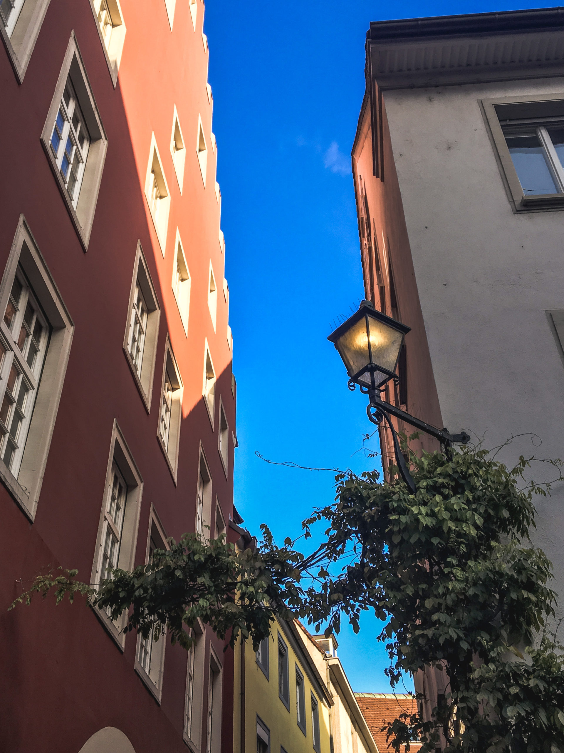 Freiburg, the southern sunny green city - Wanderlust Ale